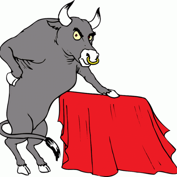 Myth: Bulls chase the colour red. – Cattle Safety