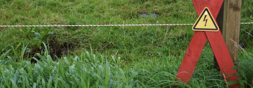 Cee wants footpaths kept open with electric fencing if cattle are in a ...